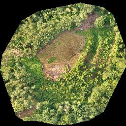 Nesscliffe Hillfort Dig 2023 2da on Maps Made Easy