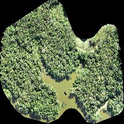 Flight 11, REGUA on Maps Made Easy