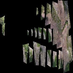 Munson flat map test on Maps Made Easy