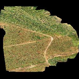 Somerley Estate on Maps Made Easy