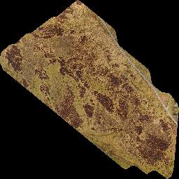 Gilwern Common 9 on Maps Made Easy