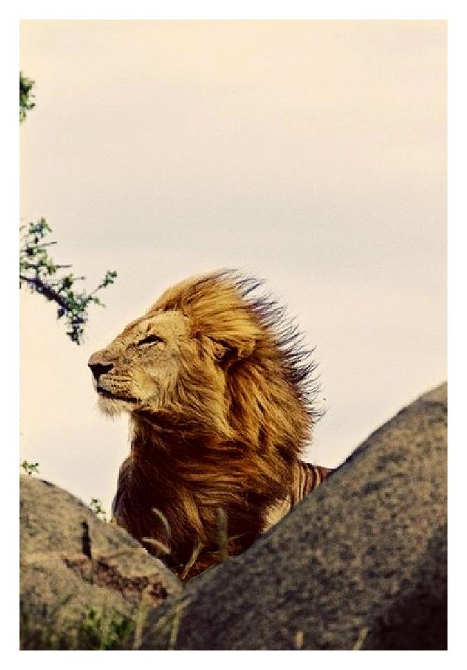 Keep Up And You Will Be Kept Up – Jai Gopal - Kundalini Yoga ...