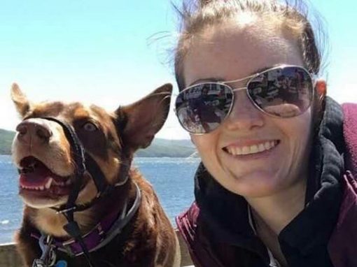 Dani – A Life Changed - LymeLight Foundation