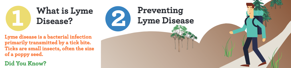 LymeLight Foundation Lyme Awareness Brochure - LymeLight Foundation