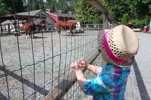 Maplewood Farm Visit - Mama.Papa.Bubba.