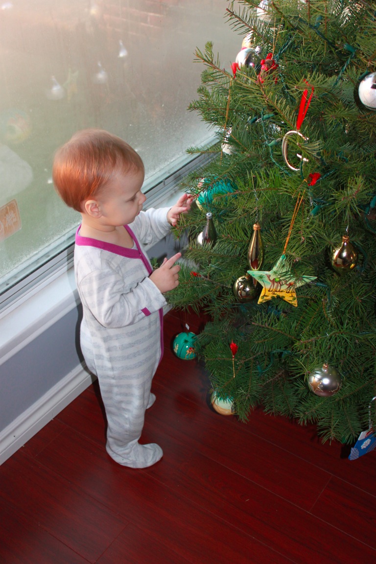 Checking Out the Tree - Mama.Papa.Bubba.