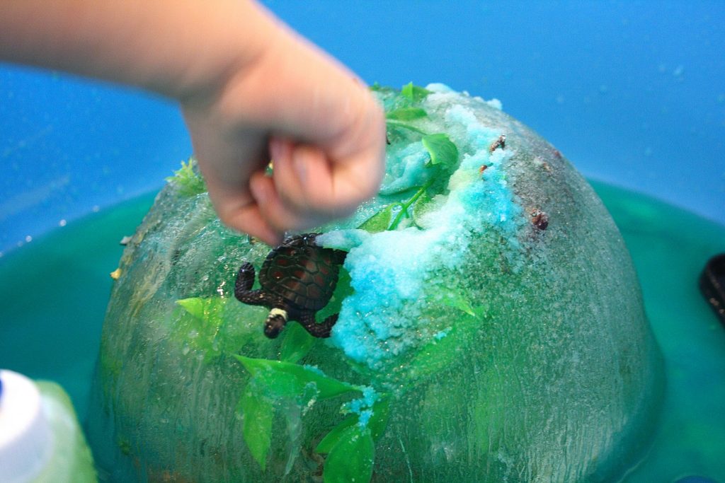 Frozen Ocean Animal Rescue