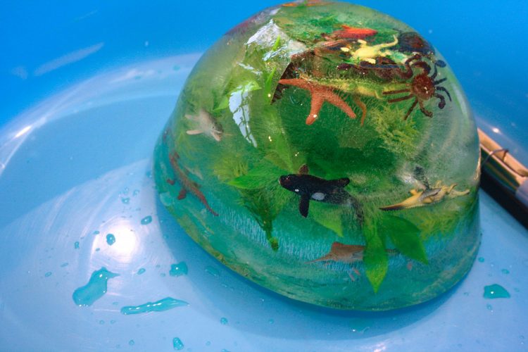 Frozen Ocean Animal Rescue