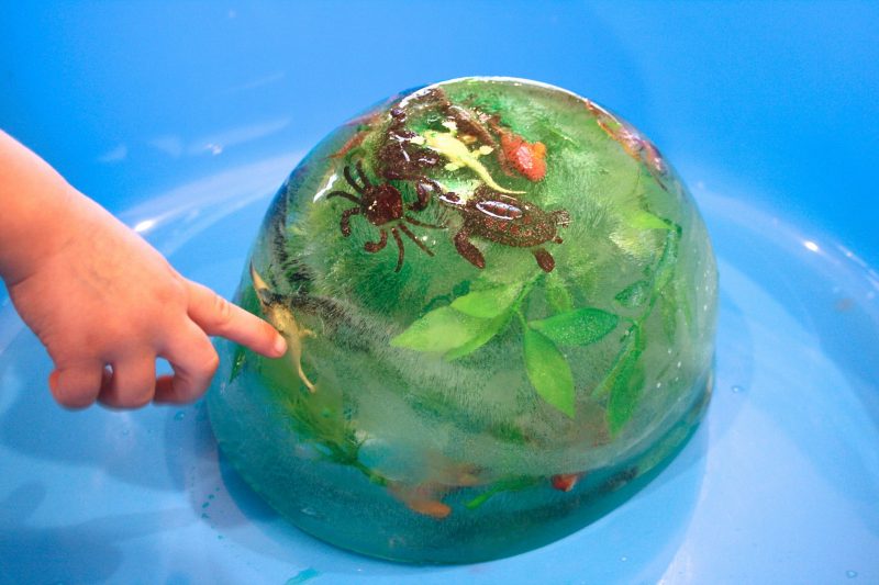 Frozen Ocean Animal Rescue