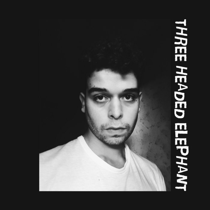 DJ Ducky Interviews Toronto Songwriter Three Headed Elephant – Freeform ...