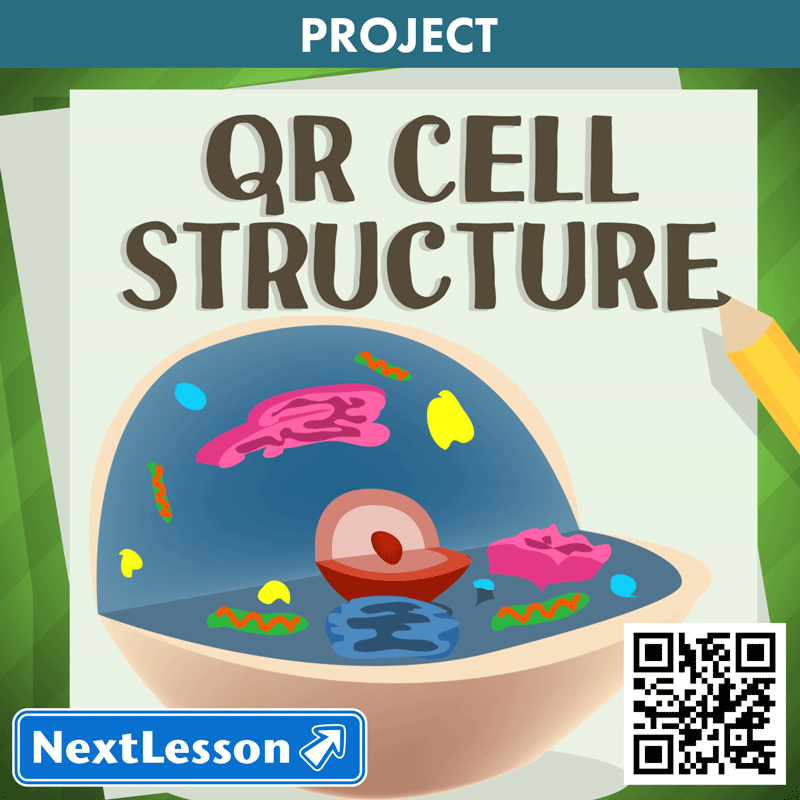 QR Cell Structure | NextLesson