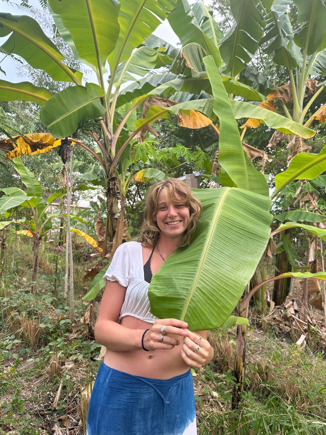 Open Collective (@opencollective@opencollective.com) - Open Collective Mastodon