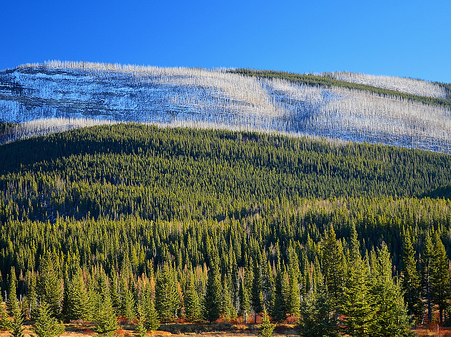 Brazeau Lookout - Alberta | peakery