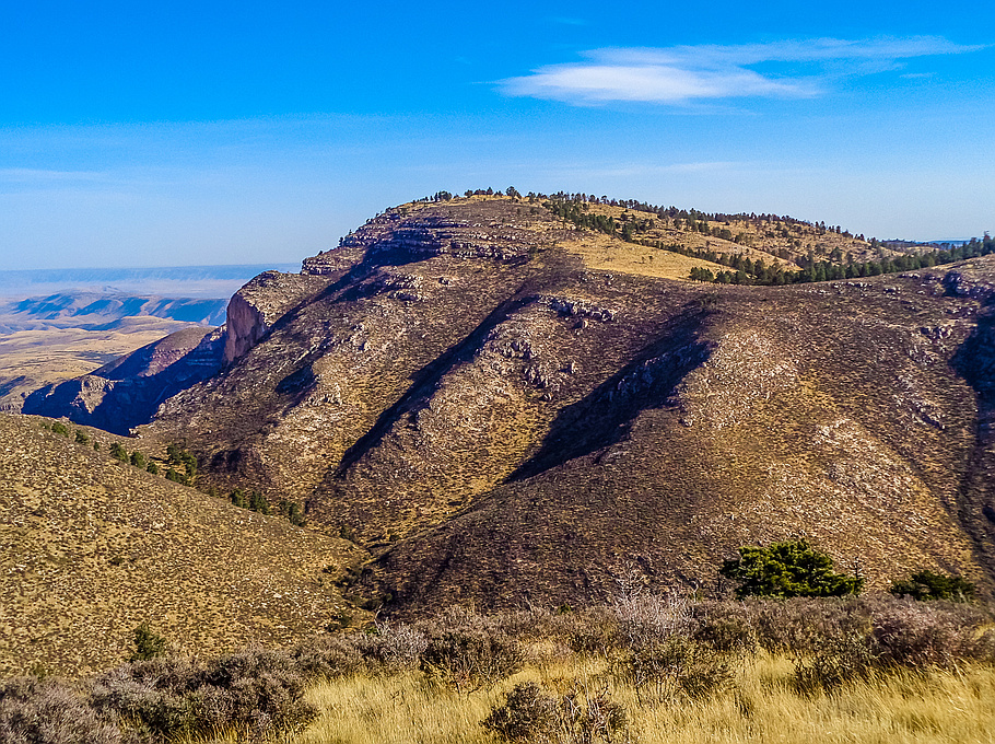 Bush Mountain - Texas | peakery