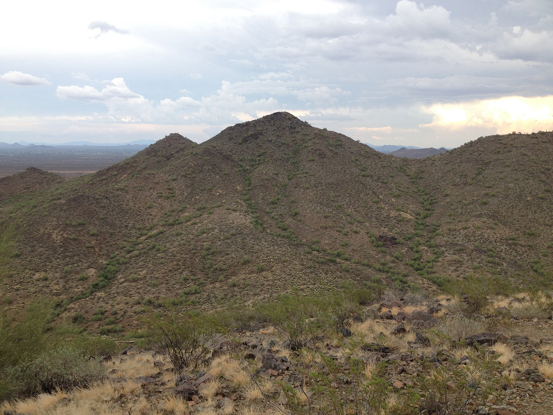 Dixie Mountain - Arizona | peakery