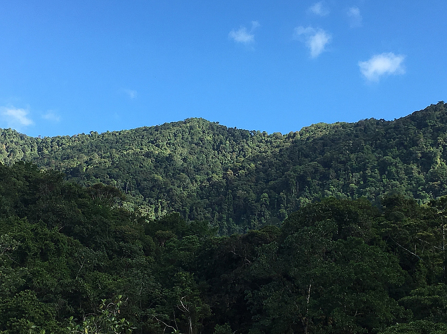 El Cerro del Aripo - Trinidad and Tobago | peakery
