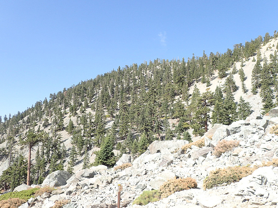 Gold Ridge Mine Overlook - California | peakery