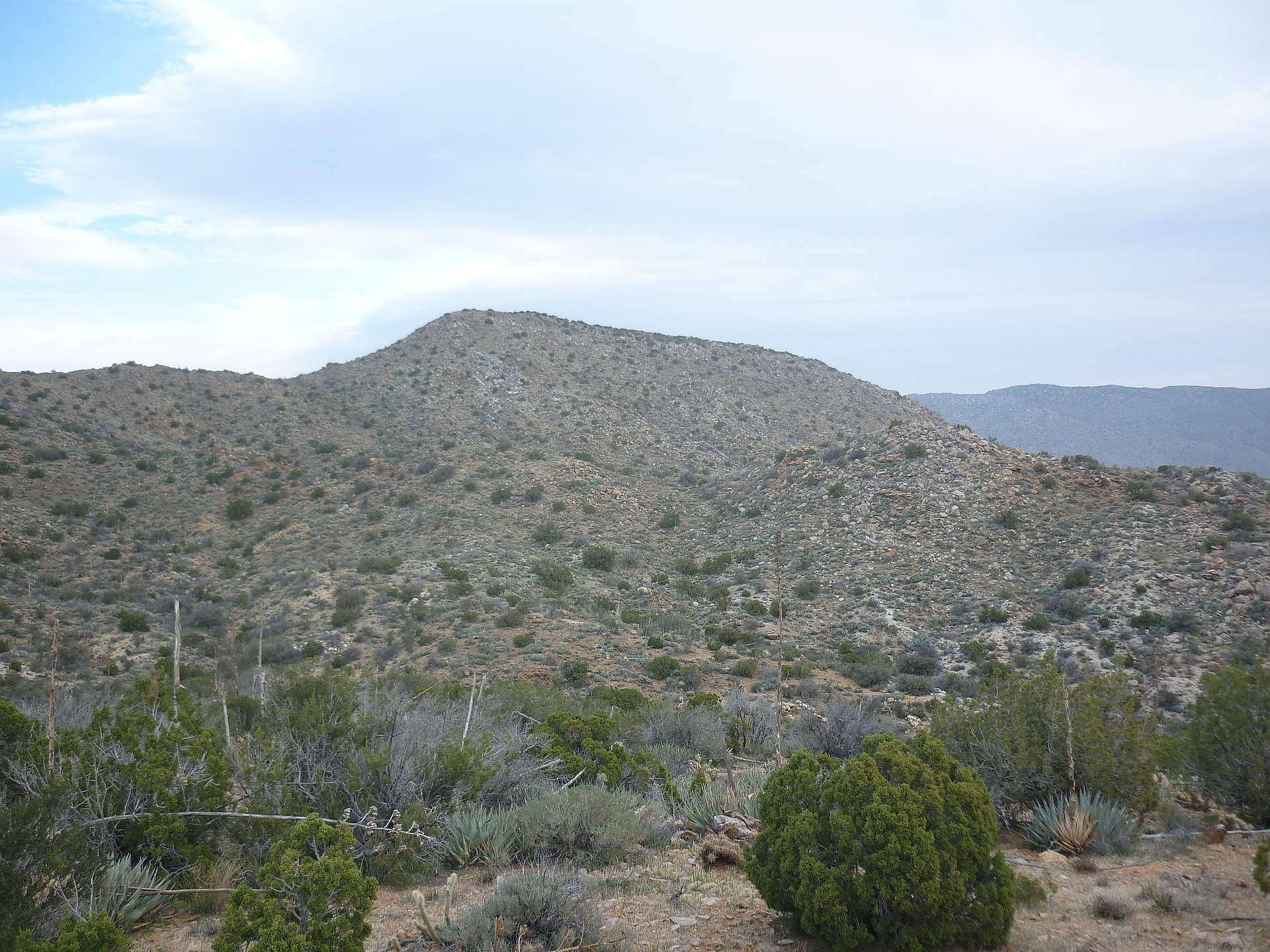 Grapevine Mountain - California | peakery