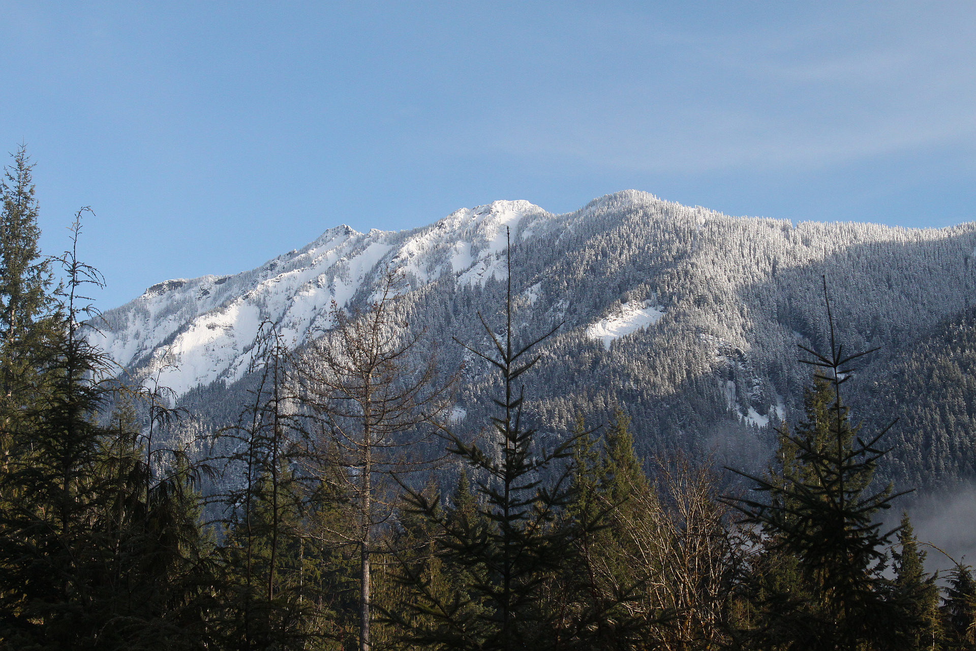 Grotto Mountain - Washington | peakery