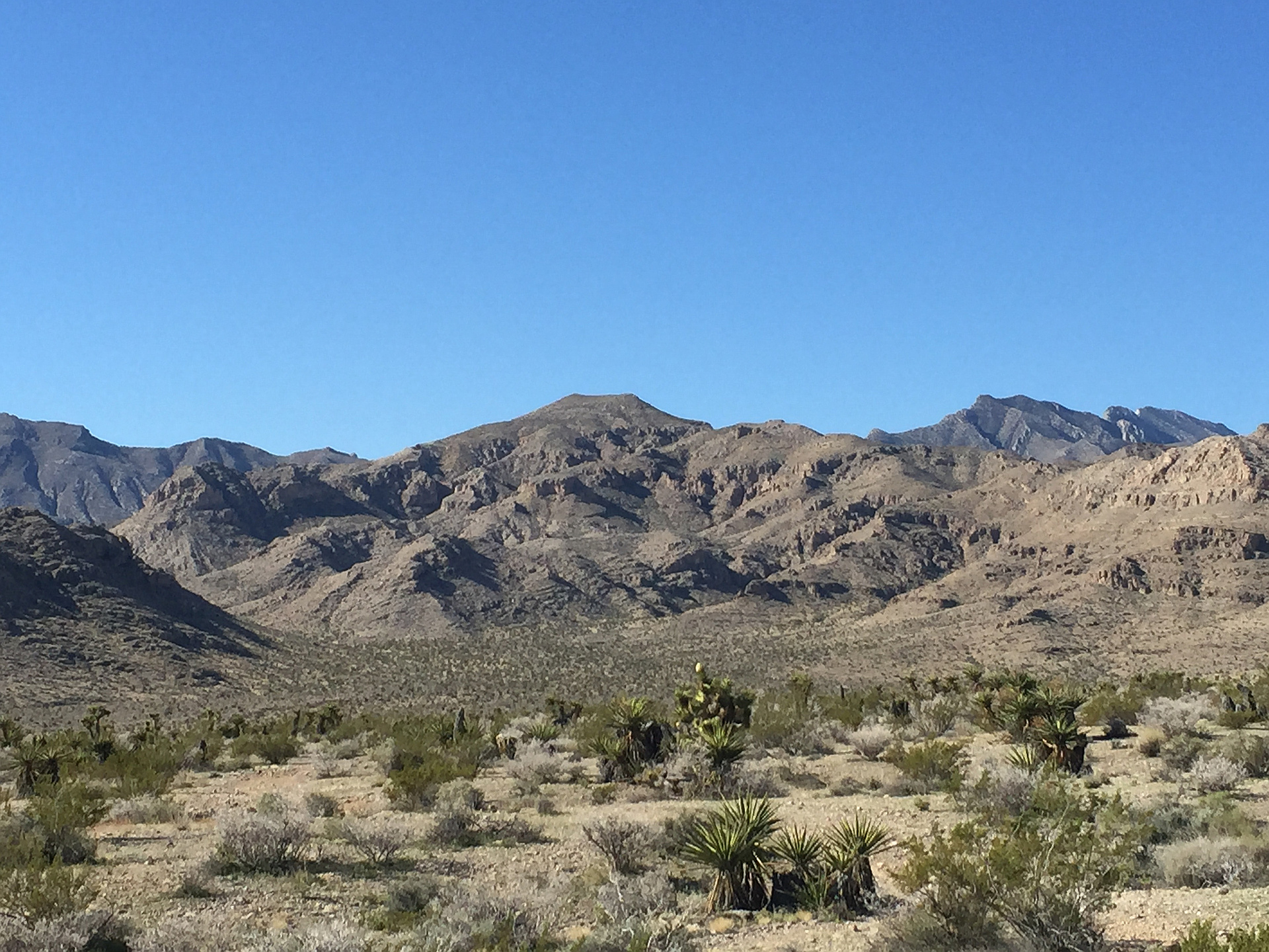 Lonely Pinion Mountain - Nevada | peakery