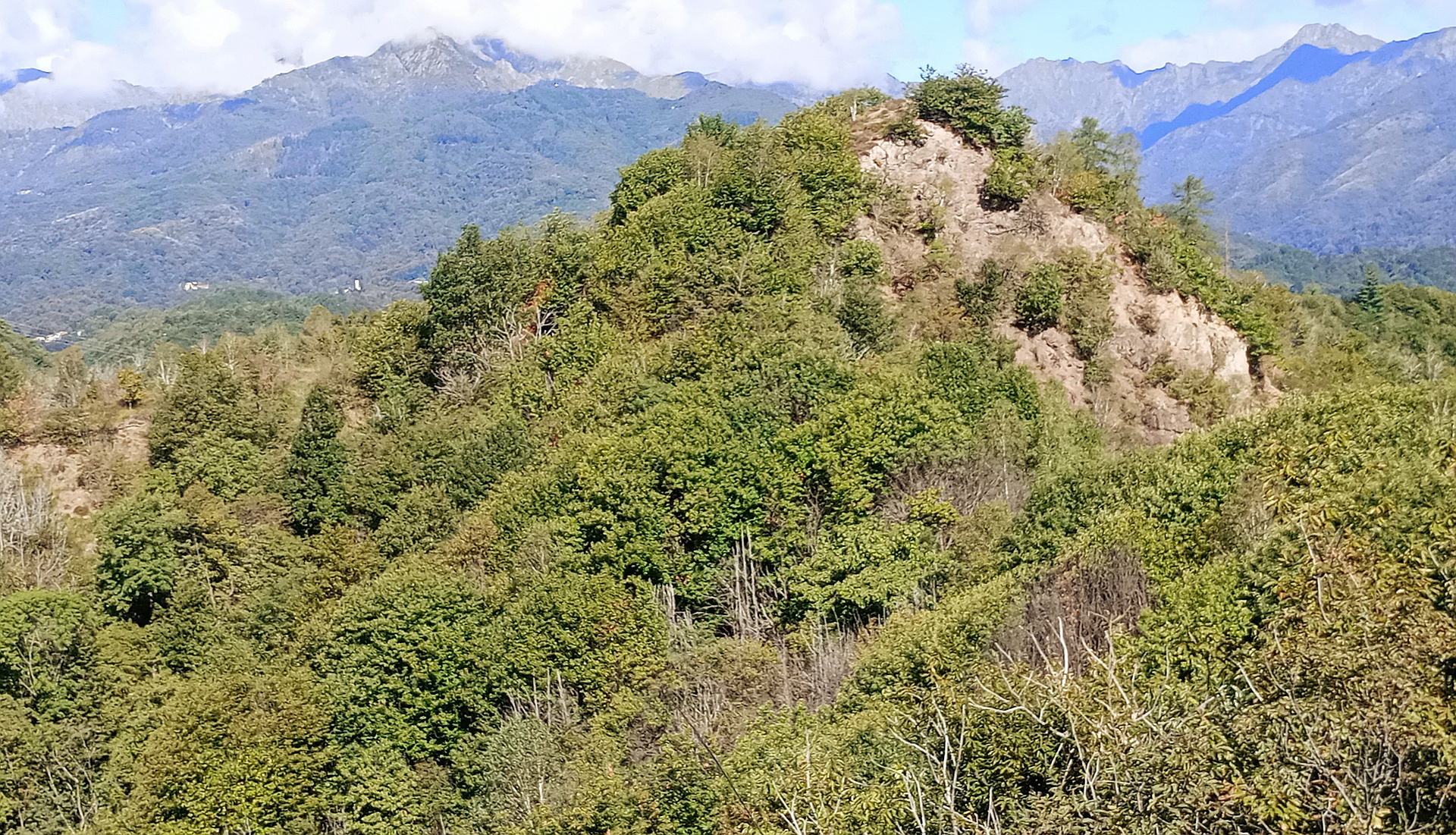 Massucco del Turlo - Italy | peakery