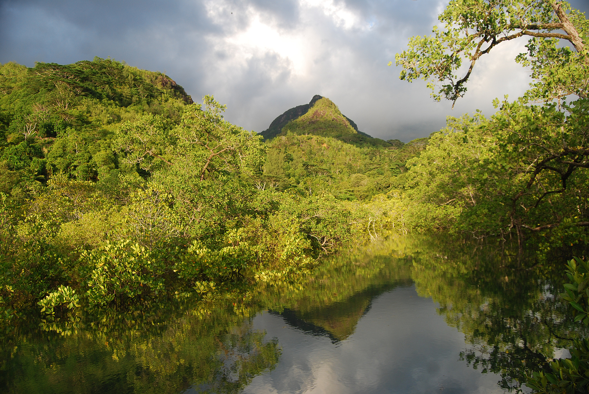 Morne Seychellois - Seychelles | peakery