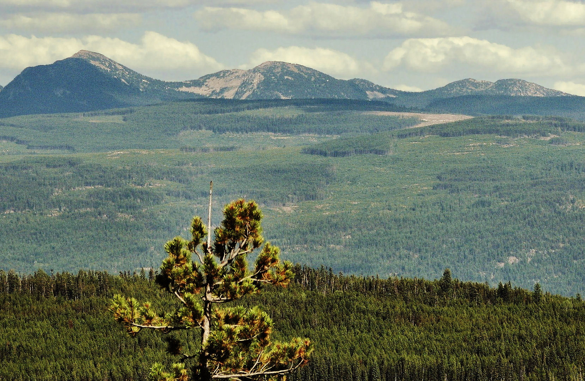 Mt Cochrane - British Columbia | peakery