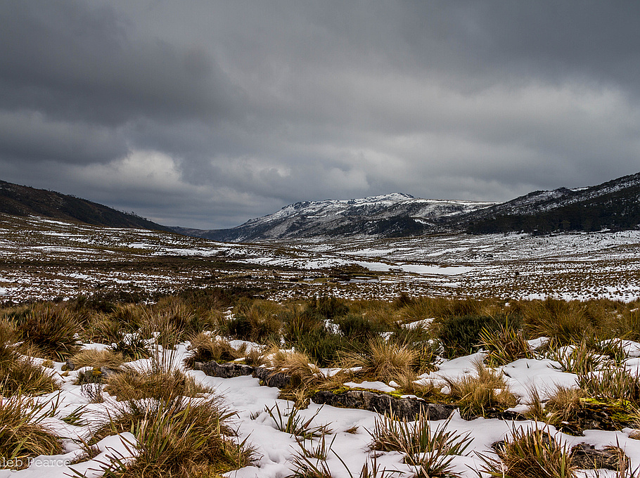 Mt Cripps - Australia | peakery