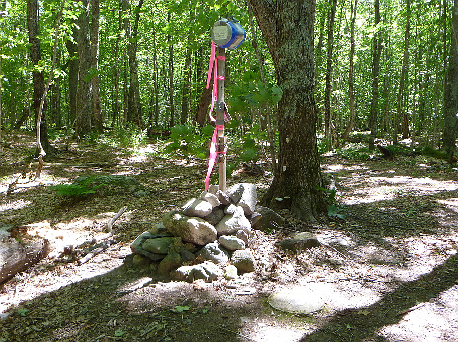 Mt Curwood - Michigan | peakery