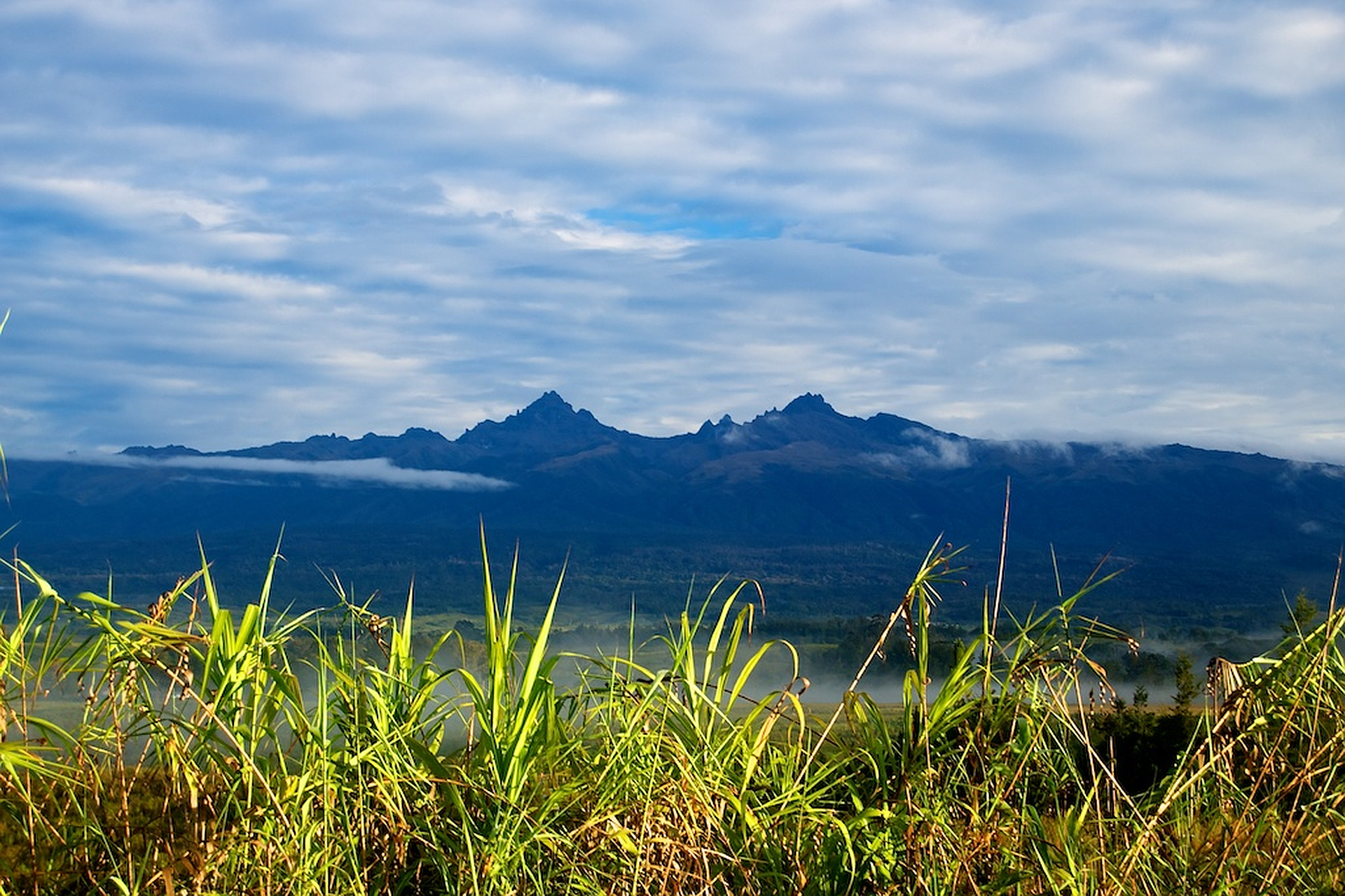Mt Giluwe - Papua New Guinea | peakery
