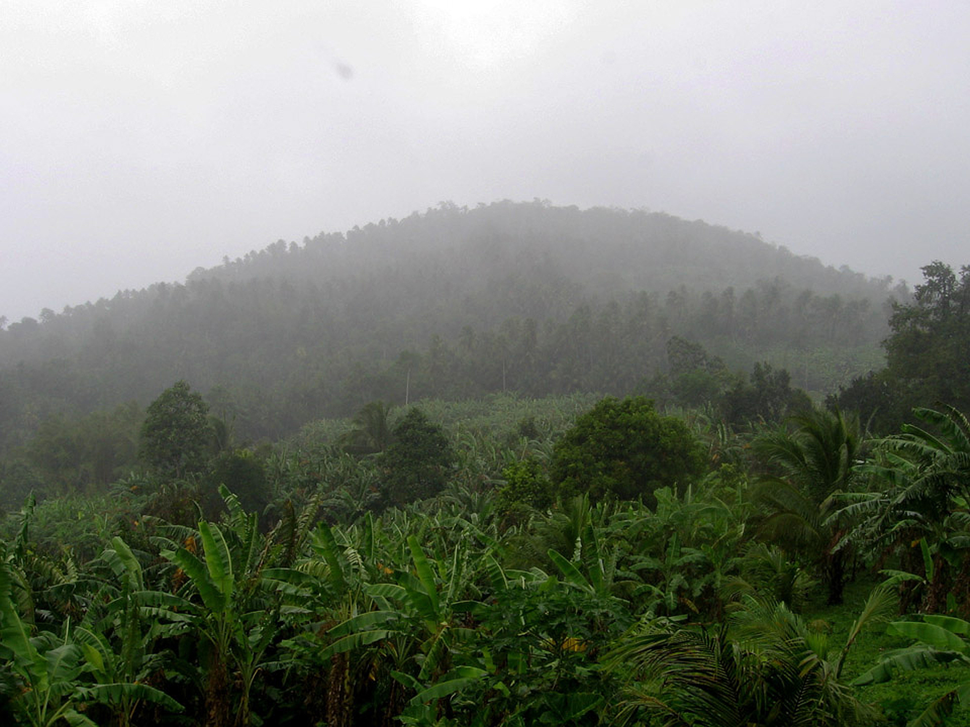 Mt Mabilog - Philippines | peakery
