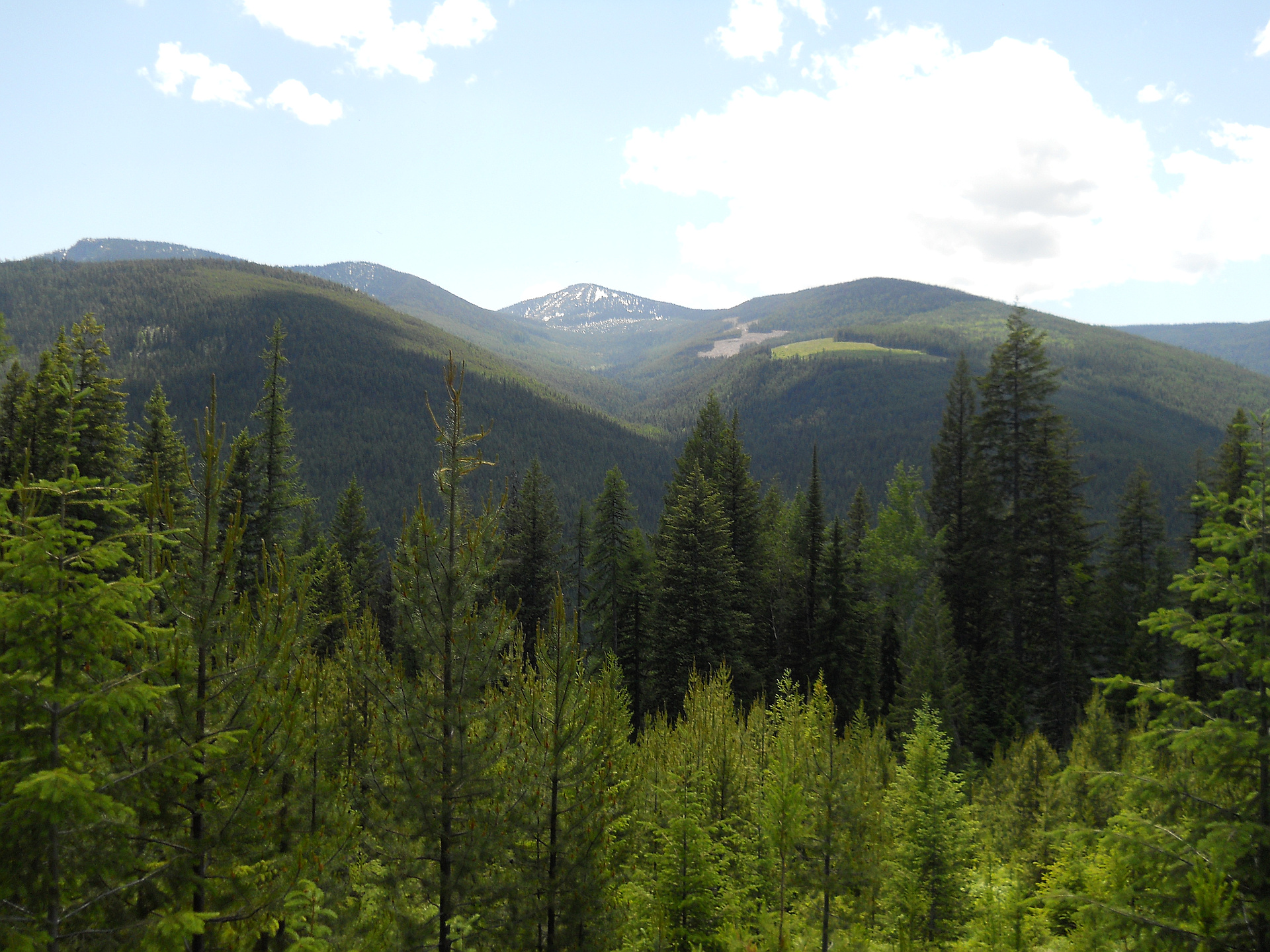 Mt Mackie - British Columbia | peakery
