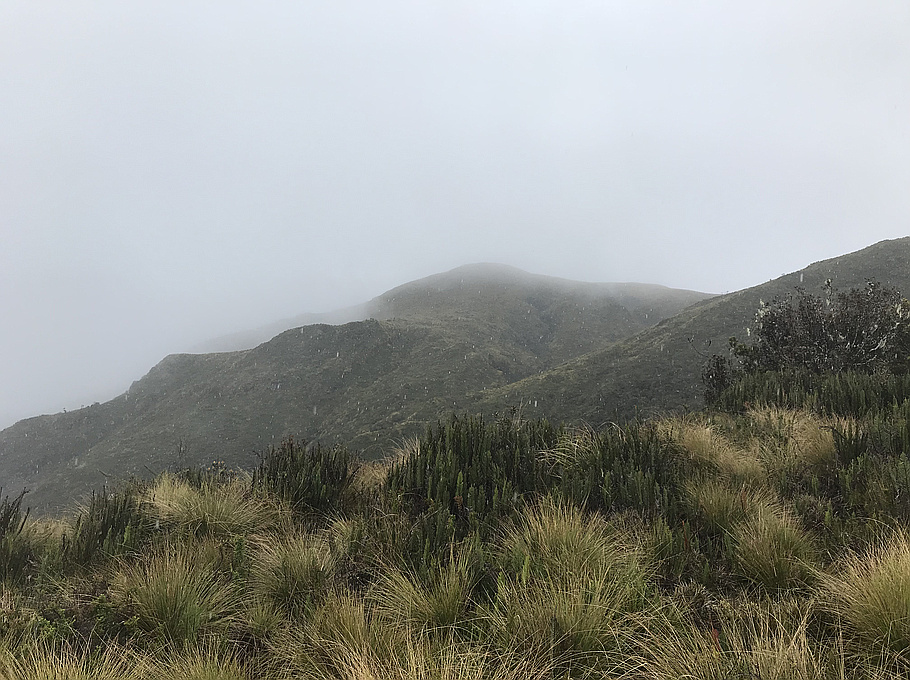 Mt Michael - Papua New Guinea | peakery