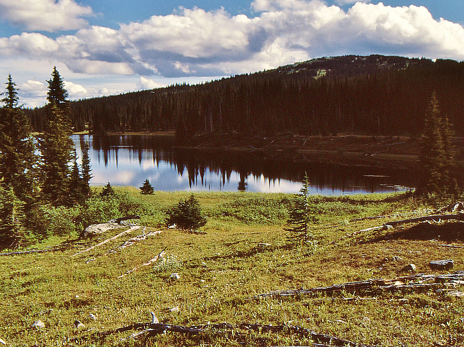 Mt Moore - British Columbia | peakery