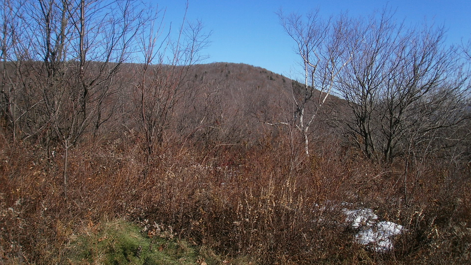 Mt Raimer - New York | peakery