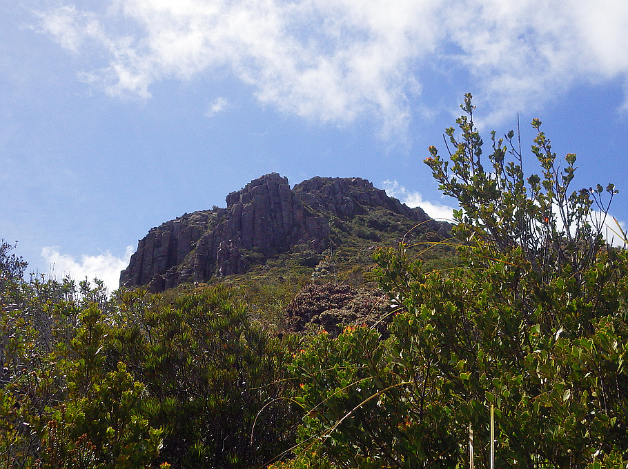 Mt Wedge - Australia | peakery