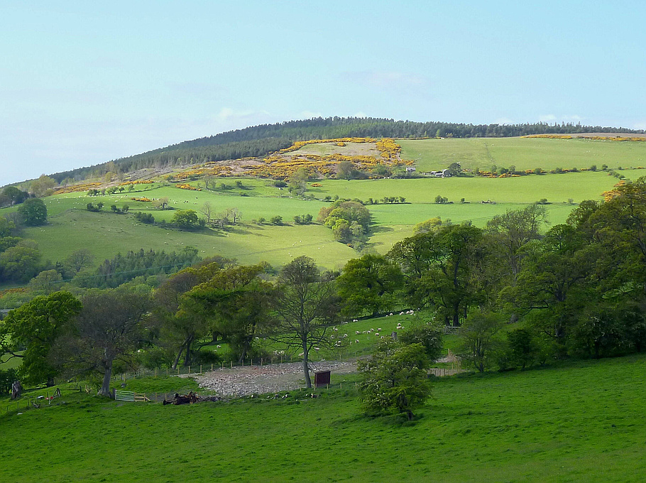 Mynydd y Cwm (Coed Cwm) - United Kingdom | peakery