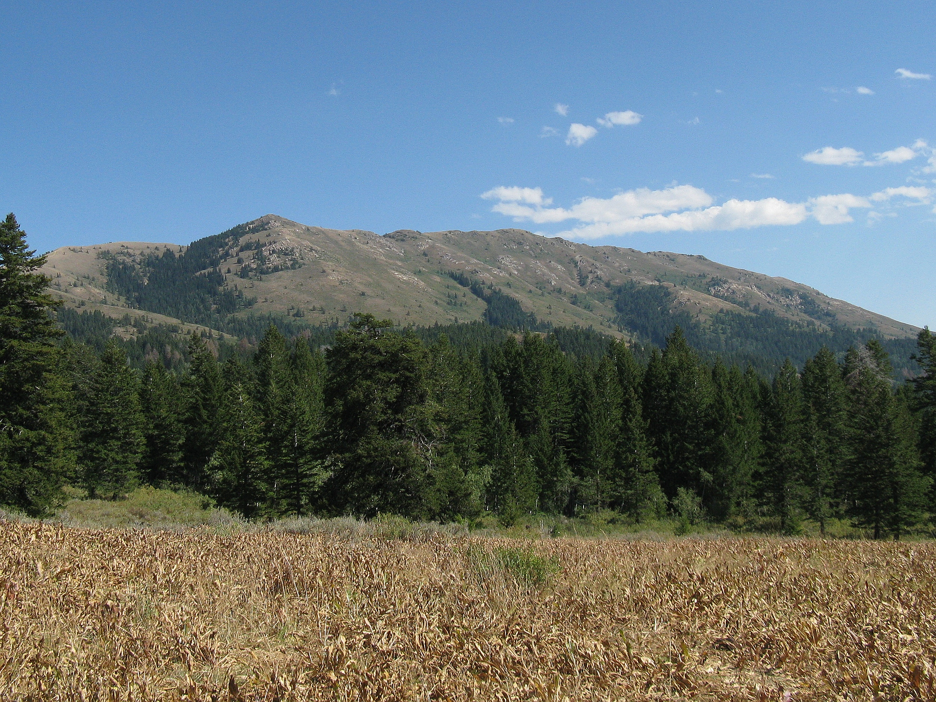 Old Tom Mountain - Idaho | peakery