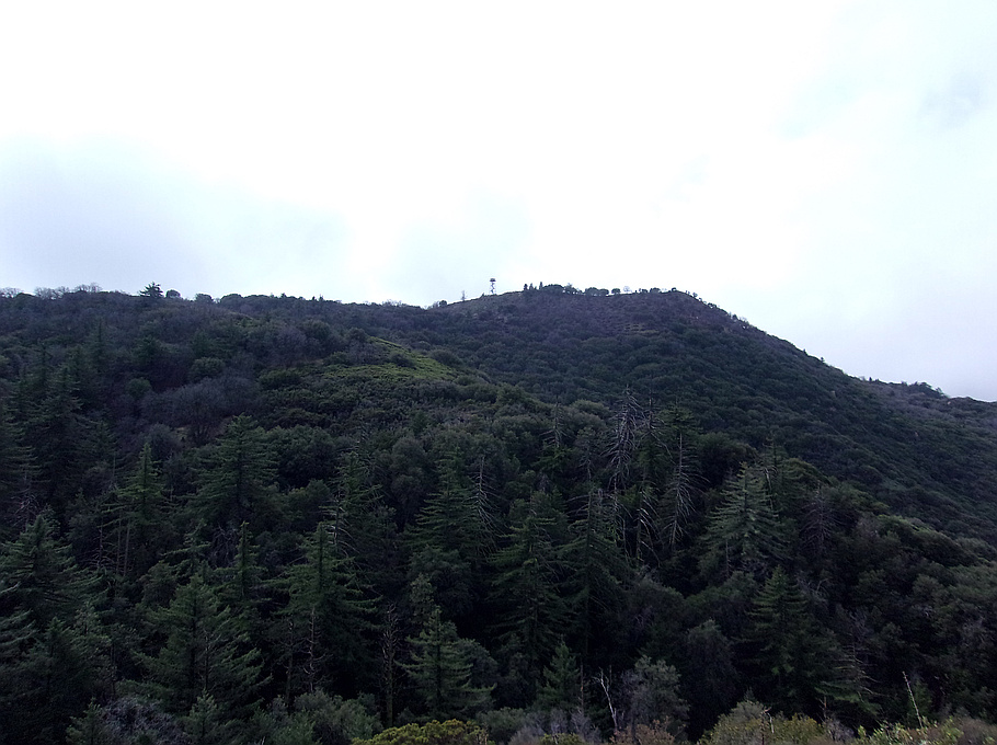 Palomar Mountain High Point - California | peakery