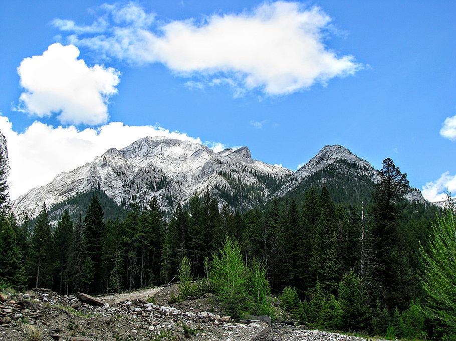 Princess Margaret Mountain - Alberta | peakery