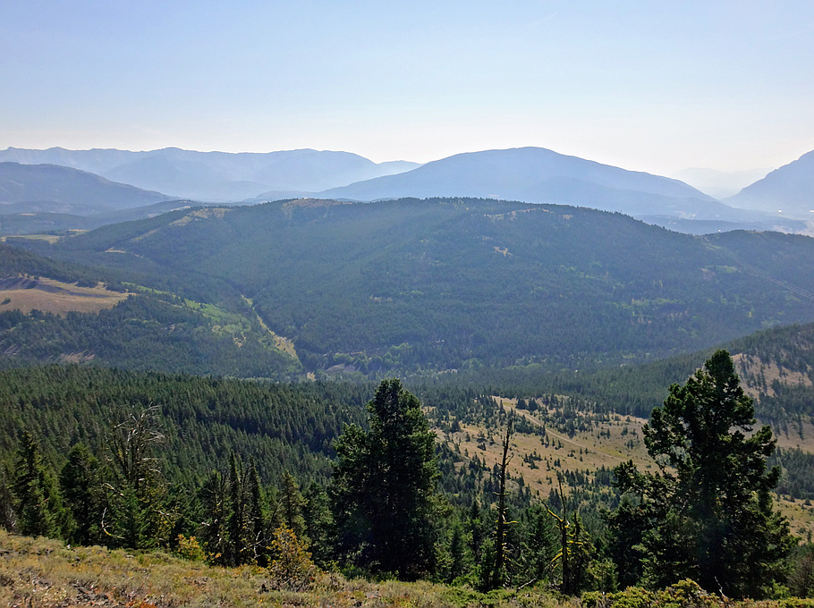 Saskatoon Mountain - Alberta | peakery