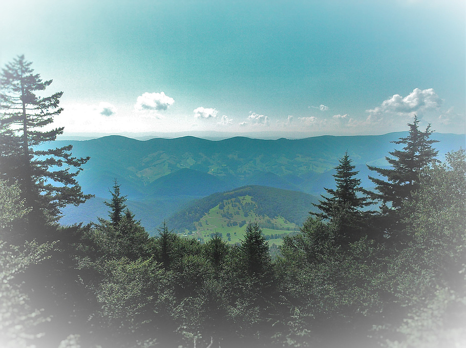 Spruce Knob - West Virginia | peakery