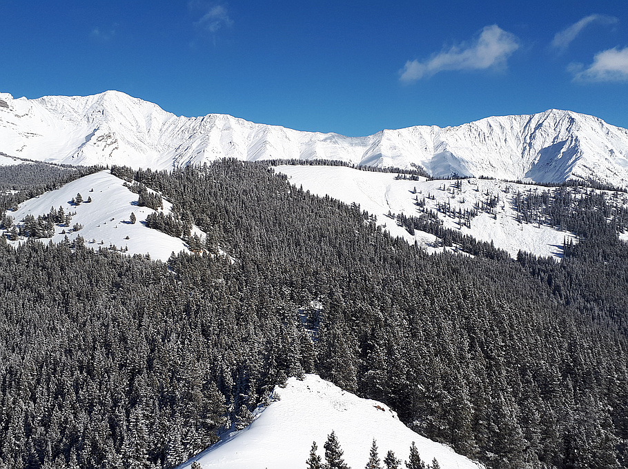 Stony Ridge - Alberta | peakery