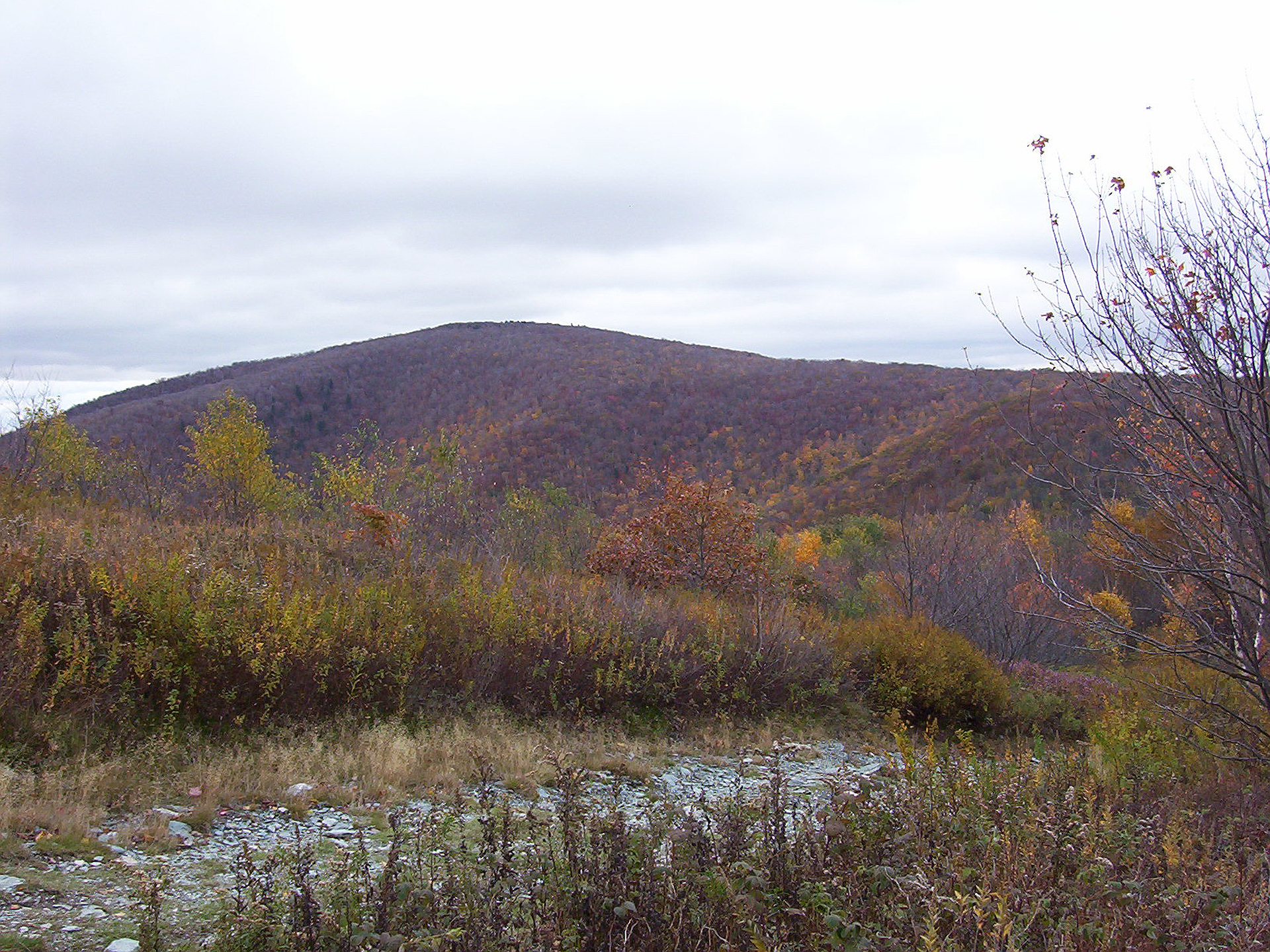 Berlin Mountain - New York | peakery