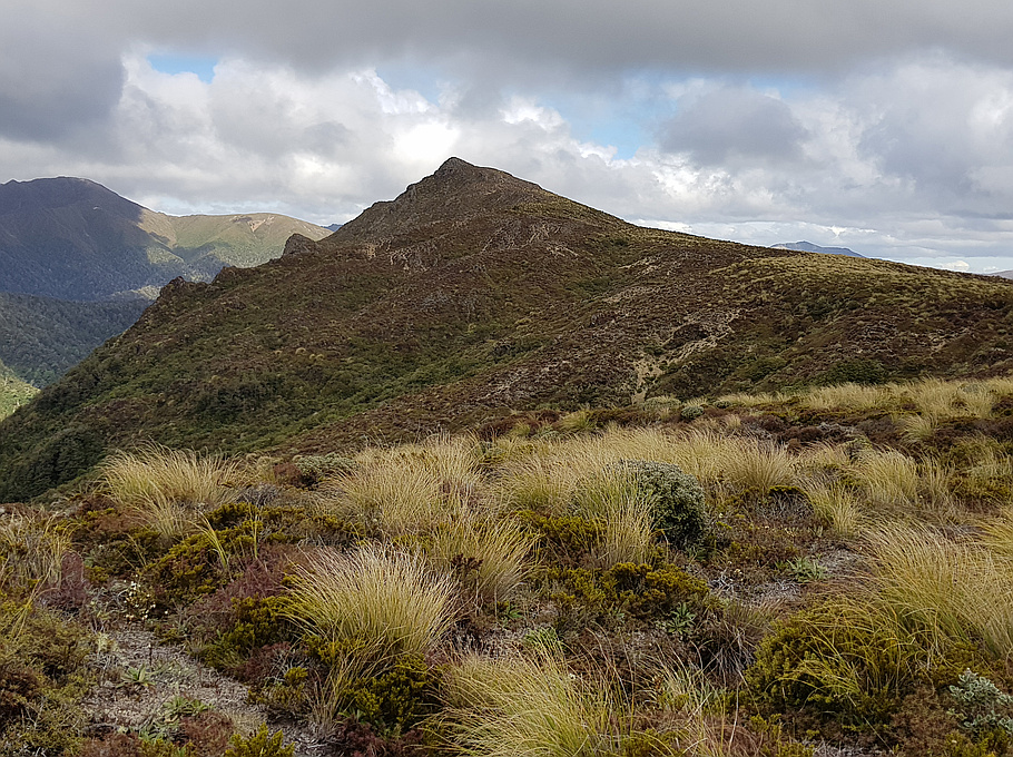 Tara o te Marama - New Zealand | peakery