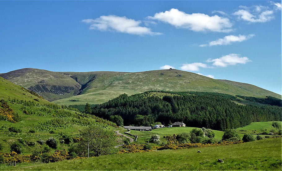 The Cheviot - United Kingdom | peakery