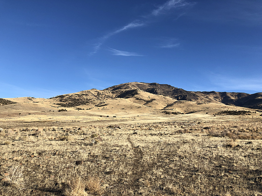Tule Peak - Nevada | peakery