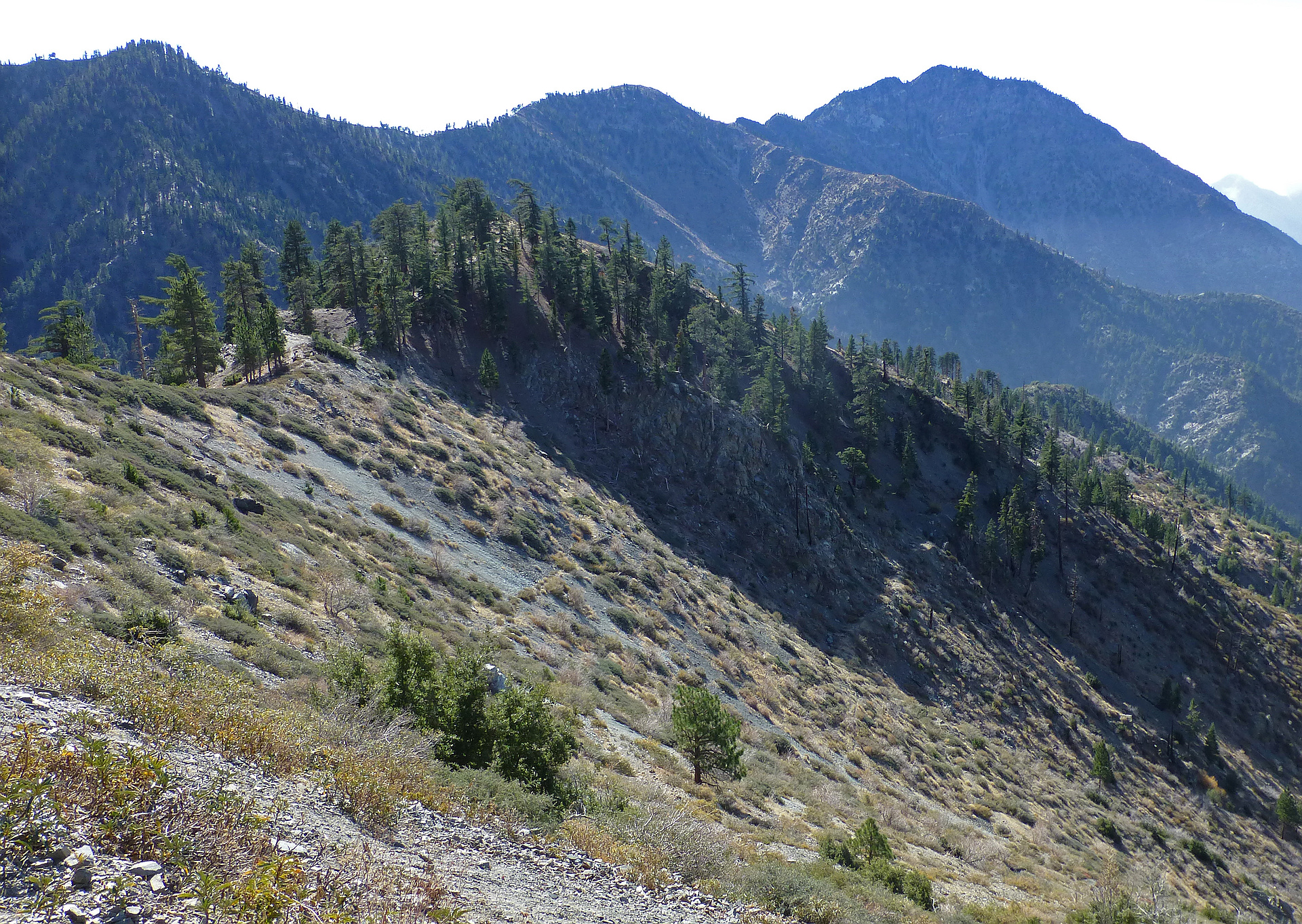 Wild View Peak - California | peakery