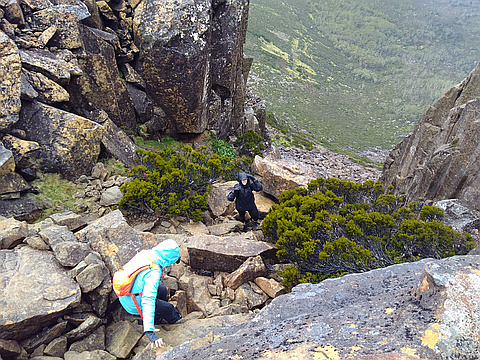 Mt Ossa - Australia | peakery