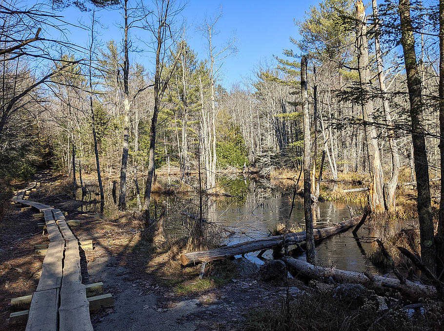 Mount Watatic - Massachusetts, United States | peakery